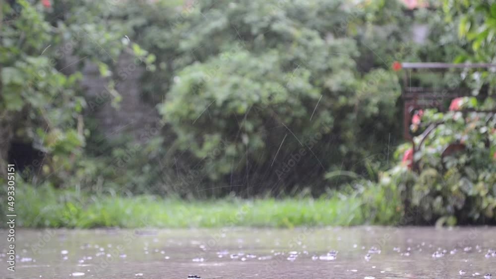 Lluvia cayendo en el patio y las gotas salpicando. Lluvia cae en el ...