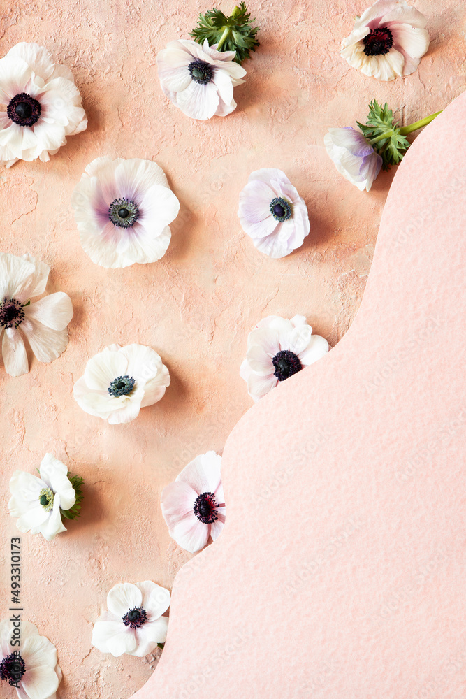 White flowers on pastel background Stock Photo | Adobe Stock