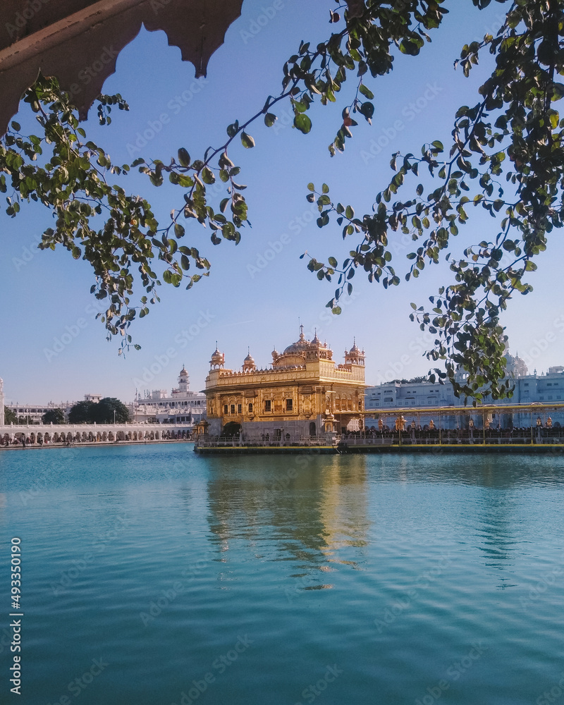 India, Punjab, Amritsar, - Golden Temple Stock Photo | Adobe Stock