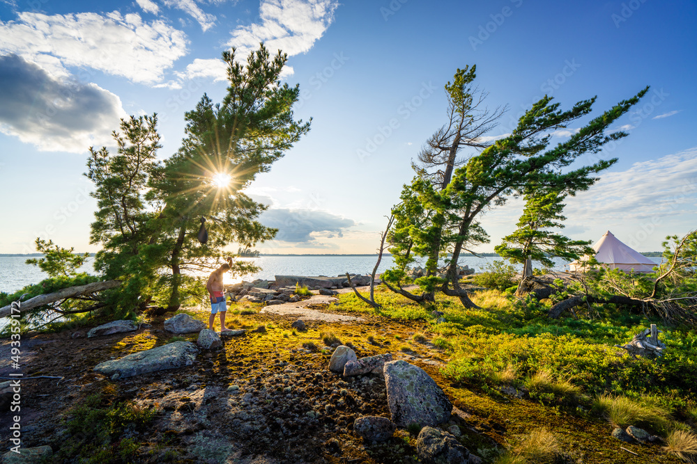 Outdoor Shower with Wind Swept Pines in Canadian Wilderness Stock Photo ...