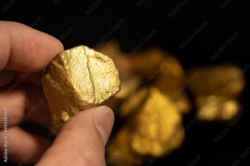 Mining man's hand holds a lump of pure gold from the mine and examines ...