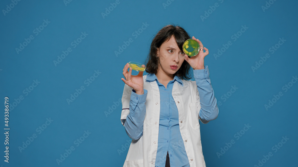 Scientific researcher analyzing dna substance in petri dish, looking at ...