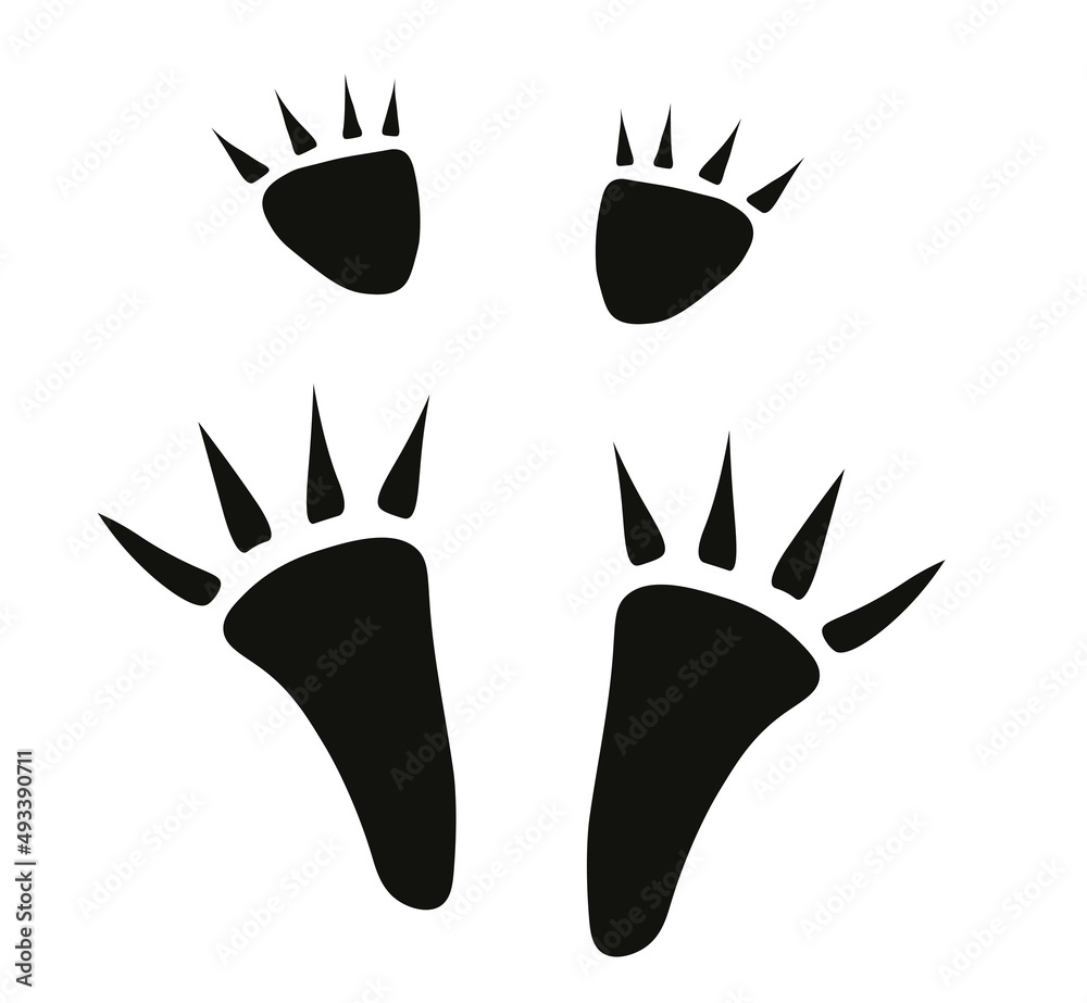 Mouse footprint in black color. Rodent paw trace Stock-Vektorgrafik ...