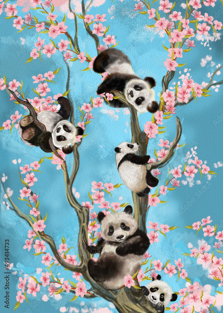 Cute pandas on a sakura tree illustration for postcards and posters ...
