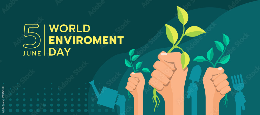 world environment day - hands holding a tree sapling to be planted on ...
