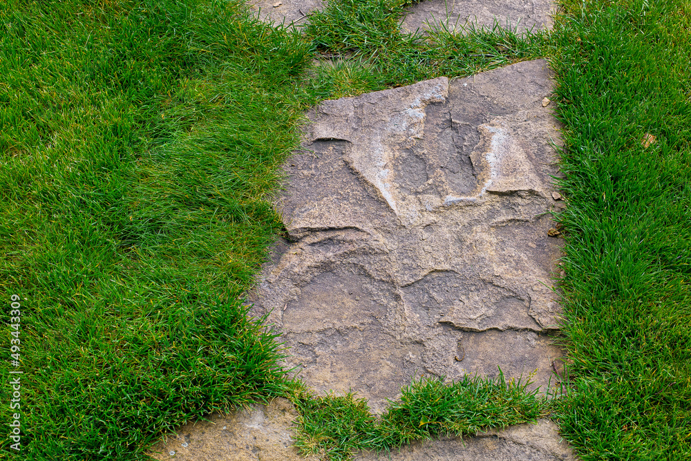 Garden path made of natural rough stone rock overgrown with turf lawn ...