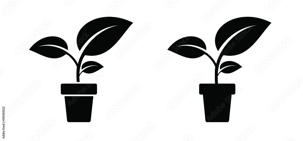 Garden plant in pot. Vector icon or pictogram. flower pot pictogram ...