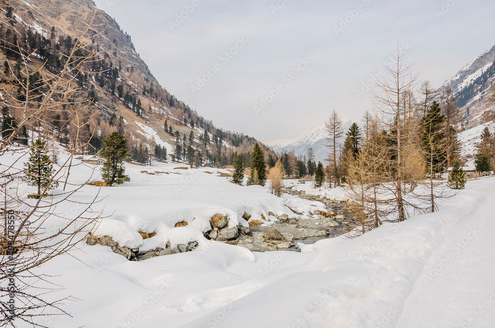 Val Roseg, Ova da Roseg, Rosegbach, Winterwanderweg, Langlauf ...