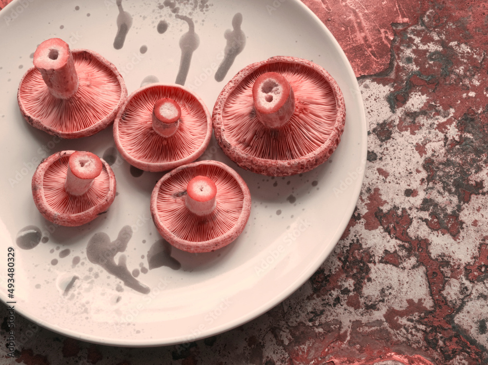 Saffron milk cap mushrooms on white plate on pink rust iron background ...