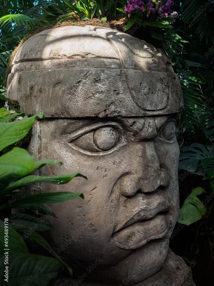 Olmec sculpture carved from stone. Mayan symbol - Big stone head statue ...