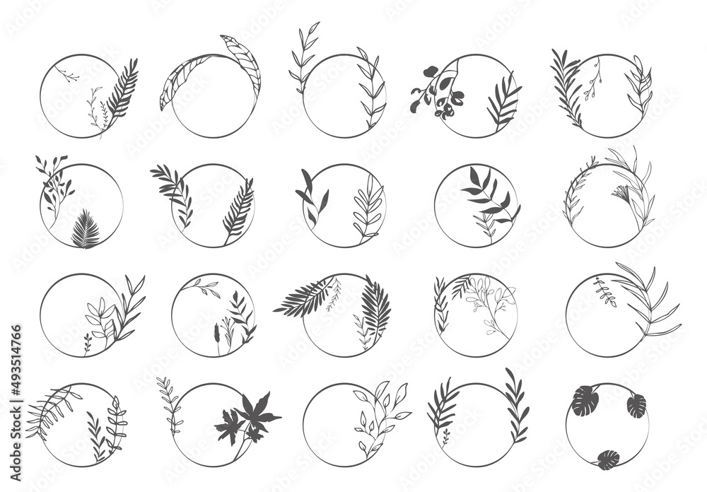 Plant frame with vector plants. Minimalist style of hand drawn plants ...