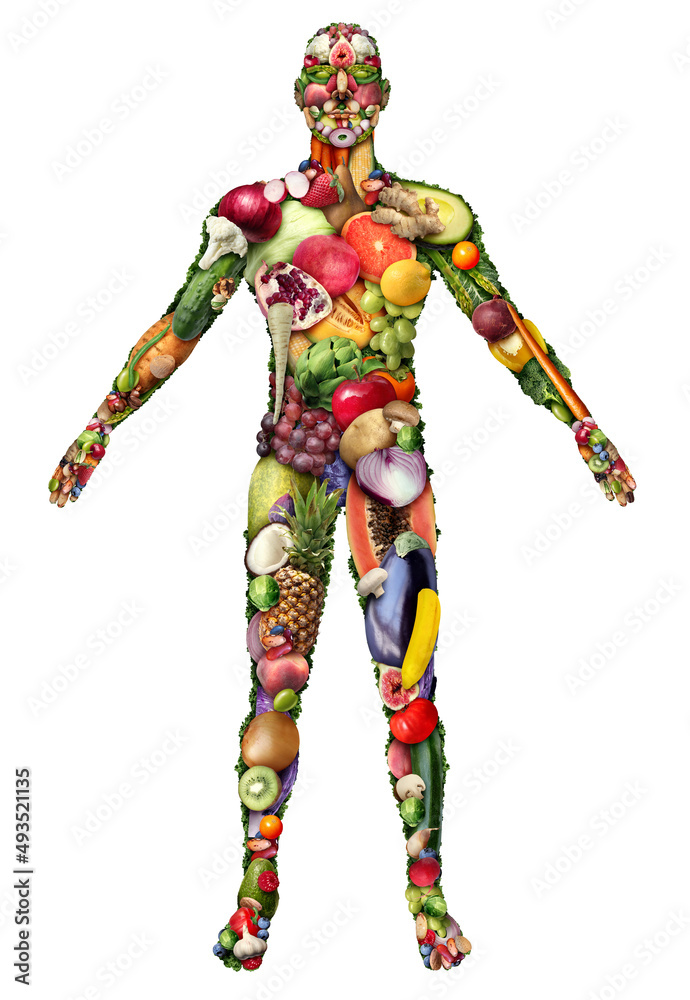 Human body made of fruit and vegetables and eating healthy or vegan and ...