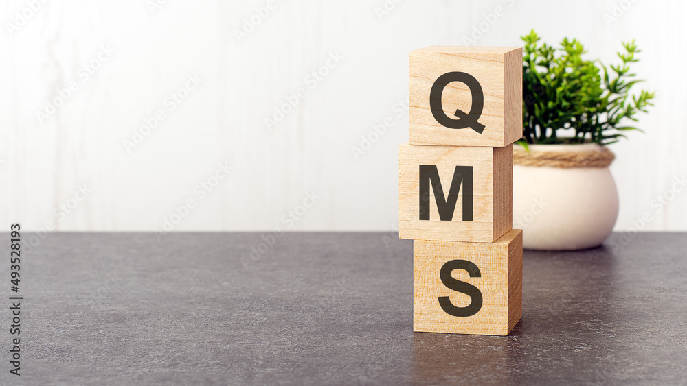 letters of the alphabet of QMS on wooden cubes, green plant, white ...