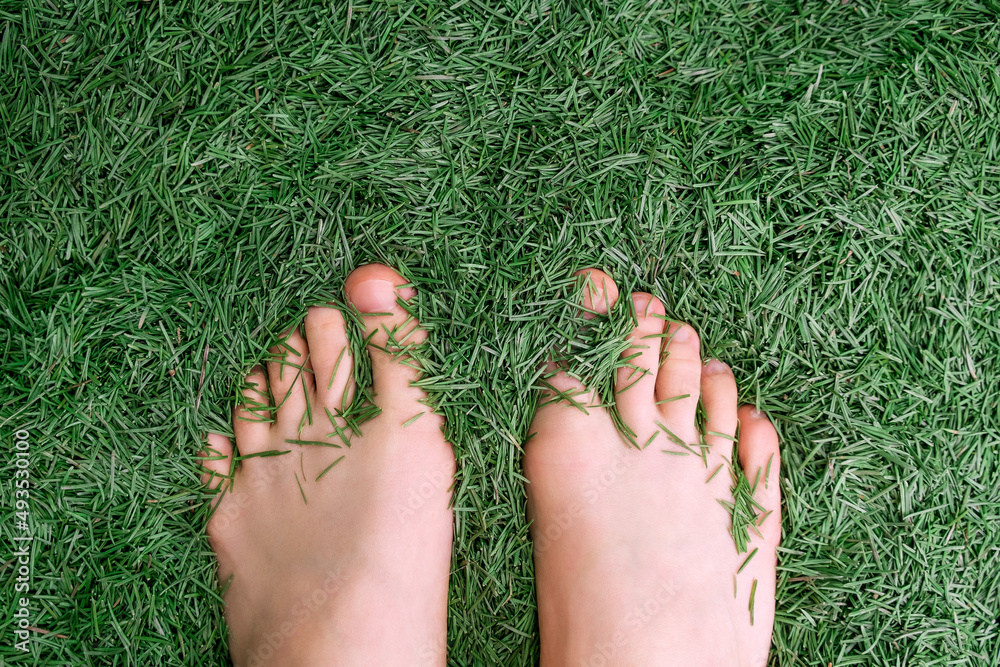 Bare feet on the background of fir needles. Scattered spruce needles ...