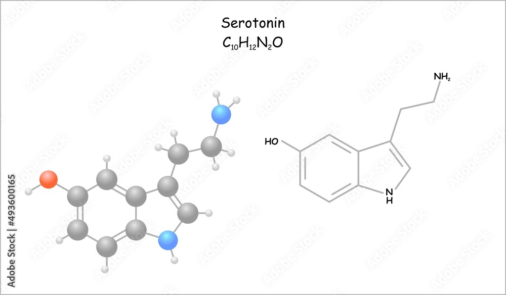 Stylized molecule model/structural formula of the neurotransmitter hormone serotonin. Stock ...