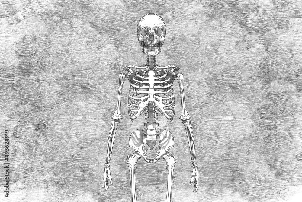 Drawing a human skeleton with a pencil on the background of hatching ...