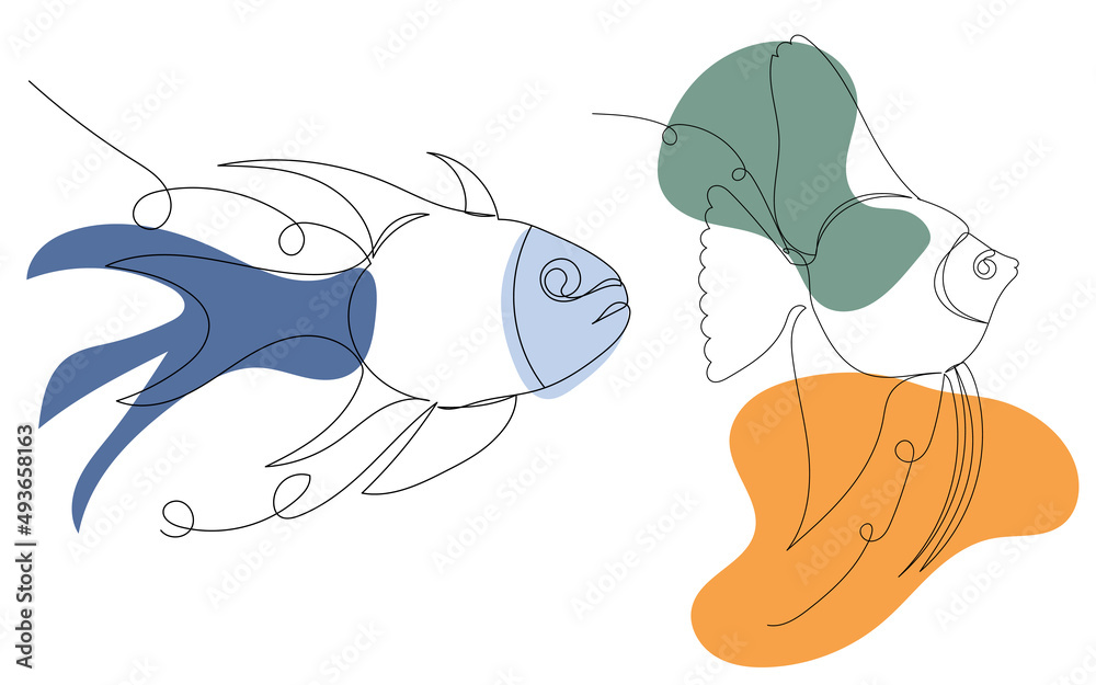fish one line drawing vector, isolated Stock Vector | Adobe Stock