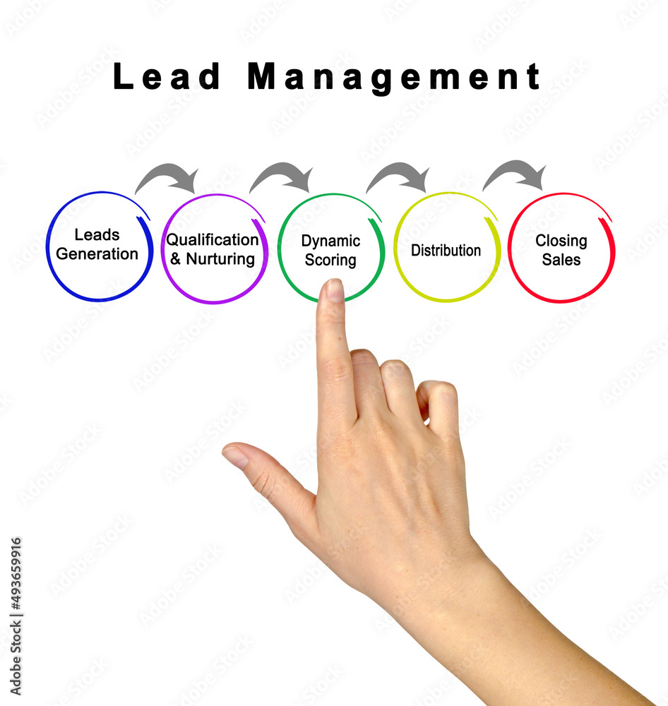 Five Components of Lead Management Stock Photo | Adobe Stock