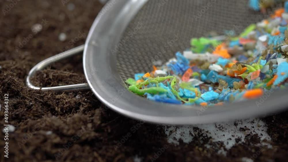 Microplastics hand picked with a steel sieve from the the agriculture ...