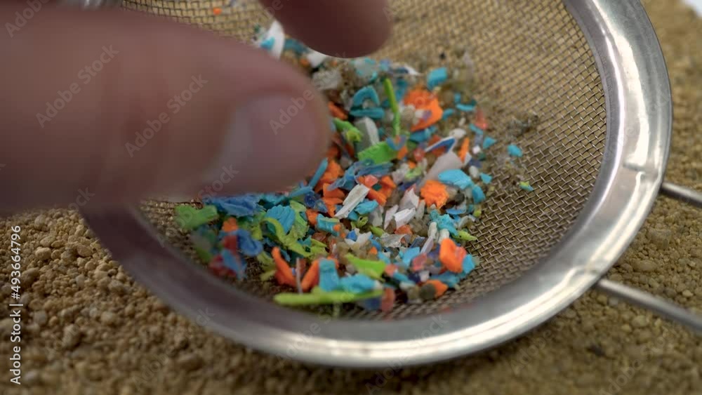 Microplastics hand picked with a steel sieve from the the beach ...