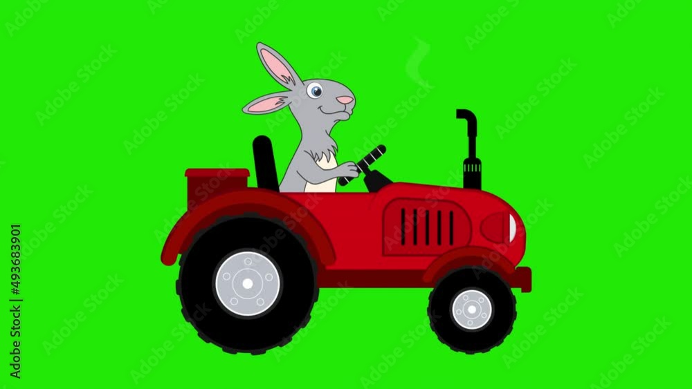 Rabbit is a tractor driver. Animation of a red tractor with Bunny or ...