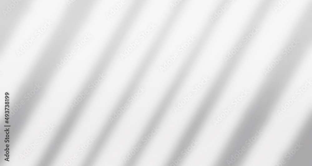 Realistic and minimalist blurred natural light windows and leaves ...