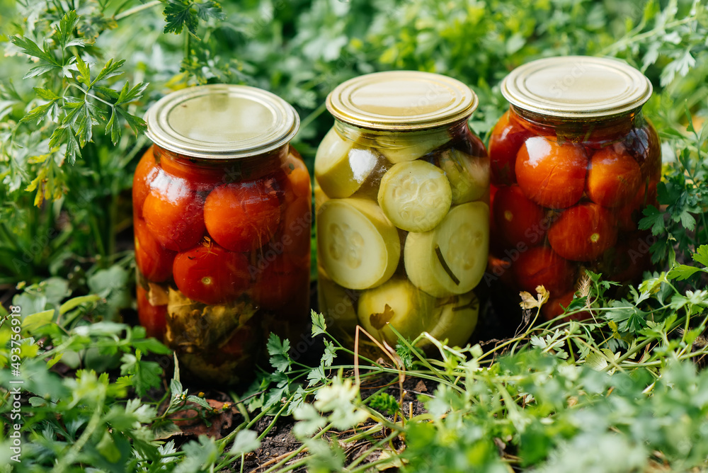 Canned vegetables in cans are in the middle of the garden. Harvesting ...