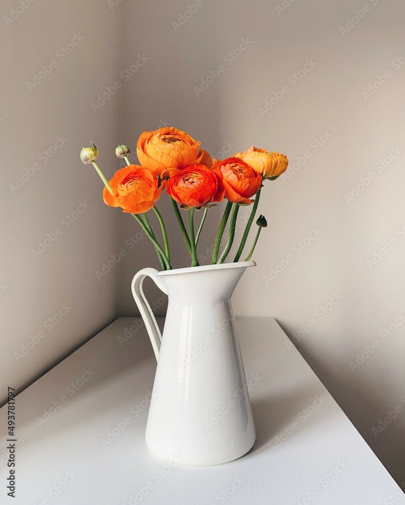Beautiful fresh colorful red and orange ranunculus flowers in full ...