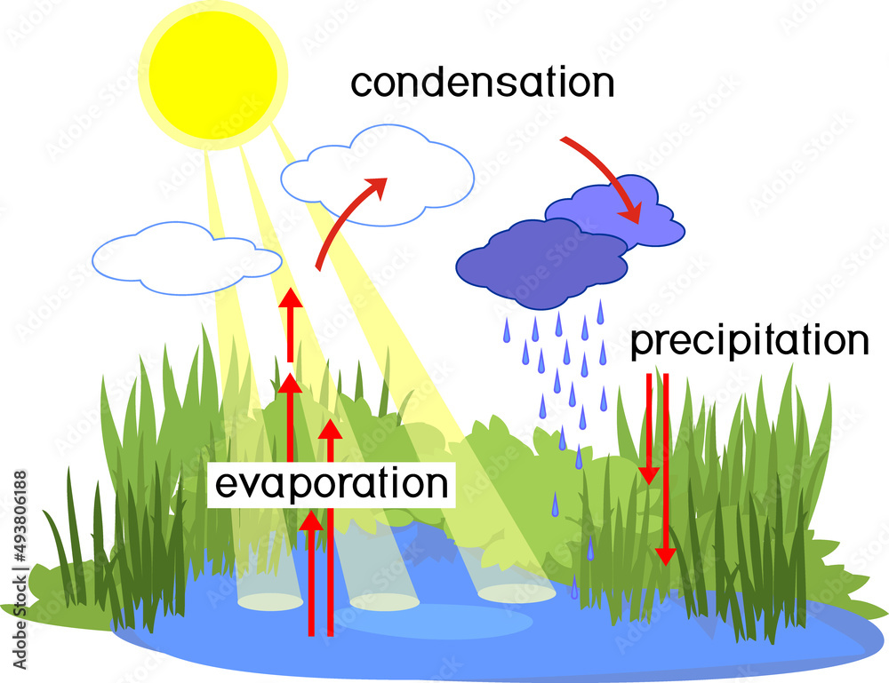 Water cycle. Scheme with water cycle (evaporation, precipitation ...