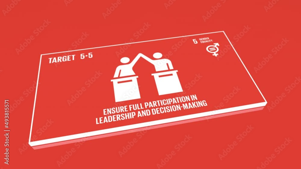 17 Global Goals SDGs Media Card Target 5-5 Gender Quality Stock ビデオ ...