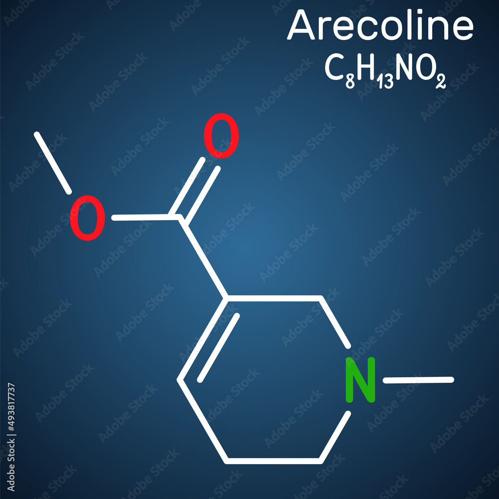Arecoline molecule. It is lkaloid obtained from the betel nut, Areca ...