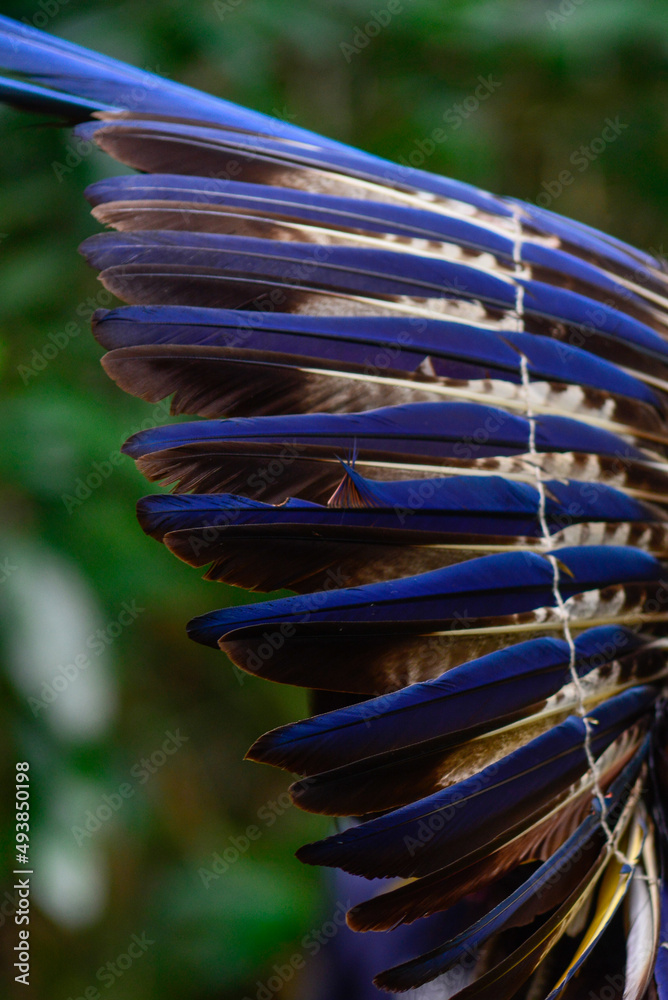 blue indian headdress, Indian's day, yanomami indians, wild nature ...