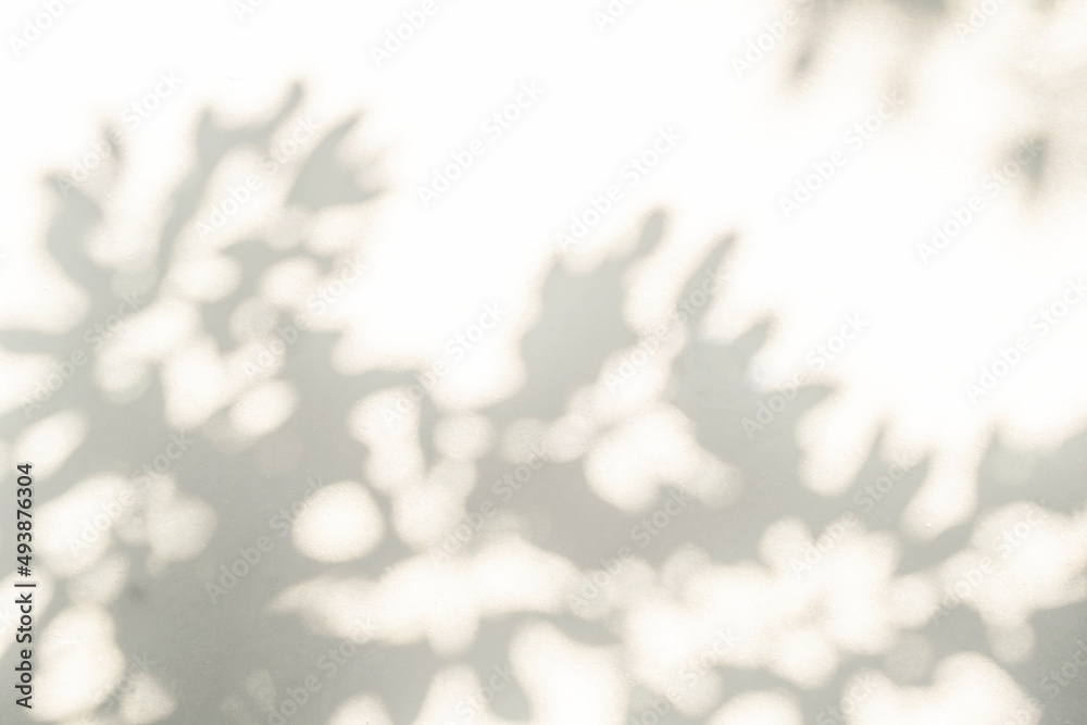 Leaf shadow and light on wall blur background. Nature tropical leaves ...