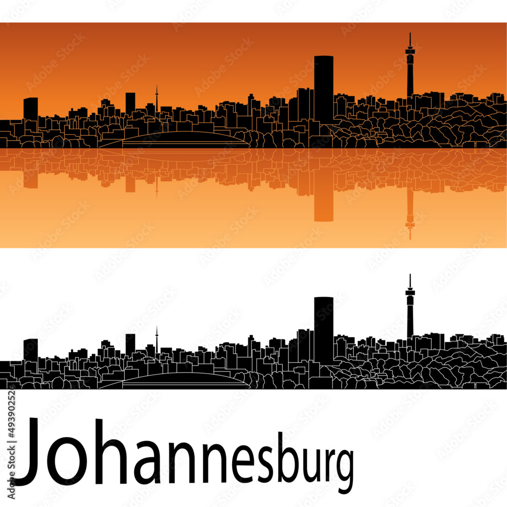johannesburg city skyline in ai format Stock Vector | Adobe Stock