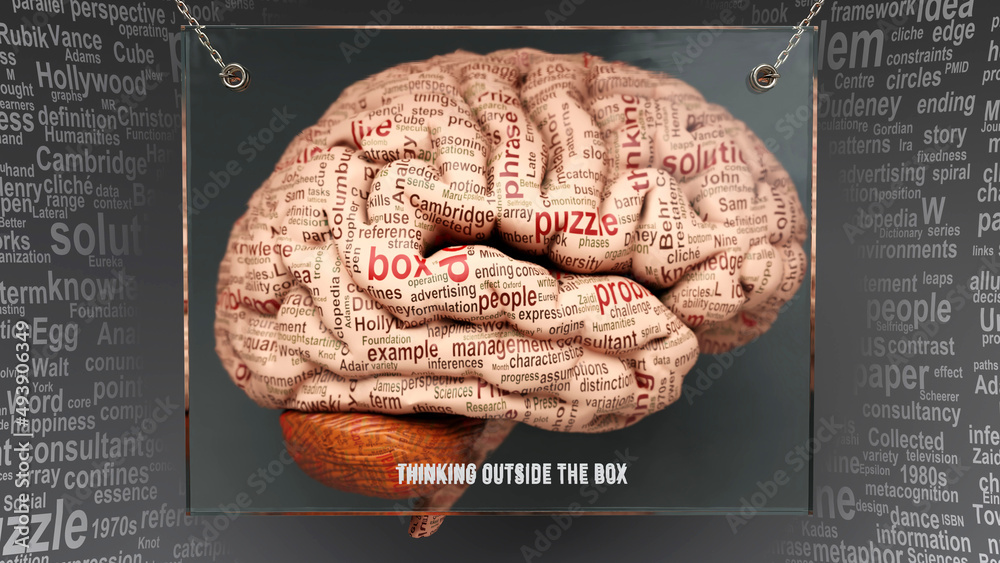 Thinking outside the box anatomy - its causes and effects projected on ...