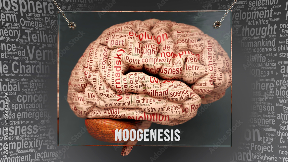 Noogenesis anatomy - its causes and effects projected on a human brain ...