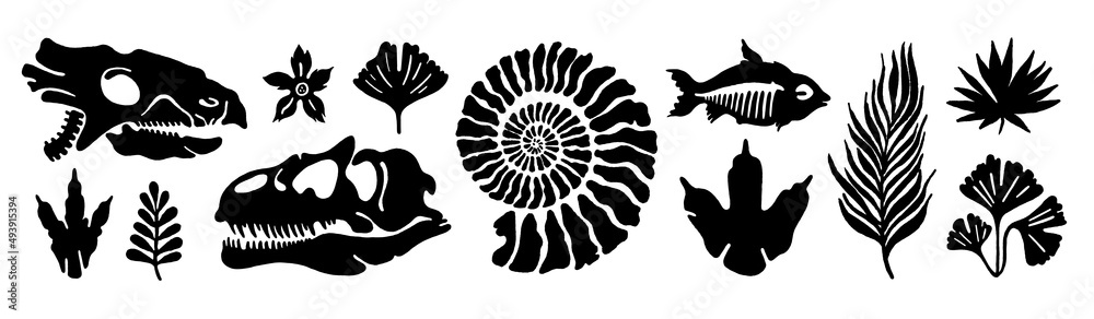 Fossil vector. Archeologic fossil dig set. Dinosaur dino foot, sea ...