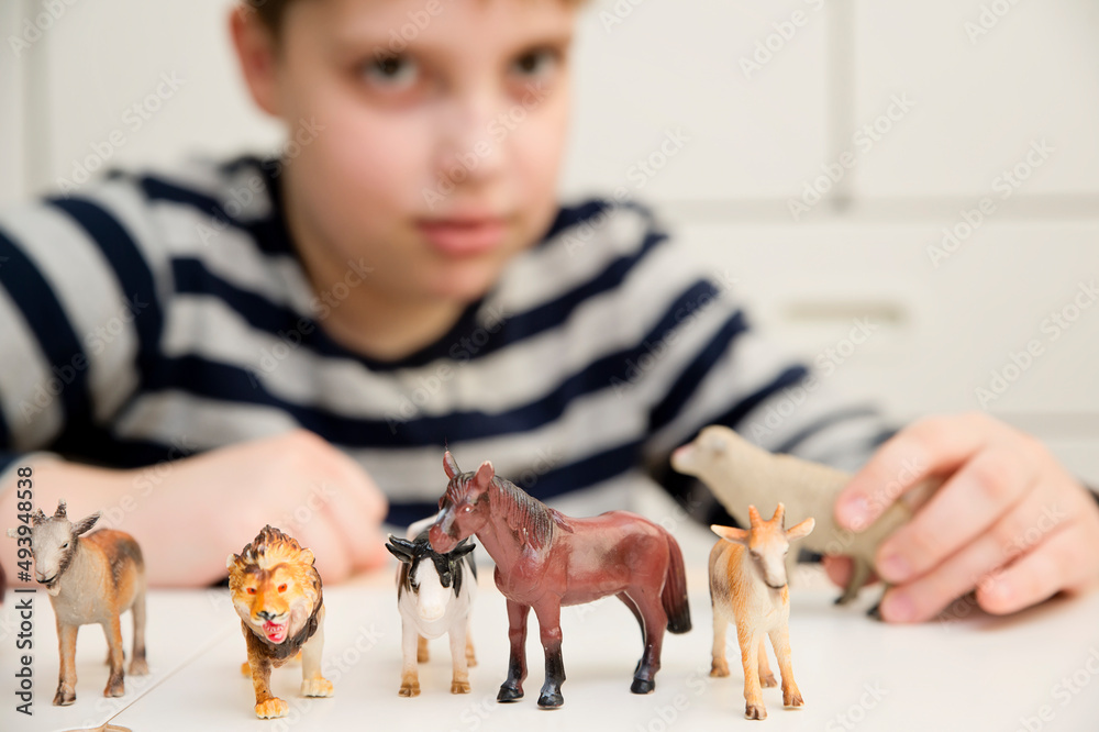 Kid plays with plastic figurines of animals. Protection of animals ...