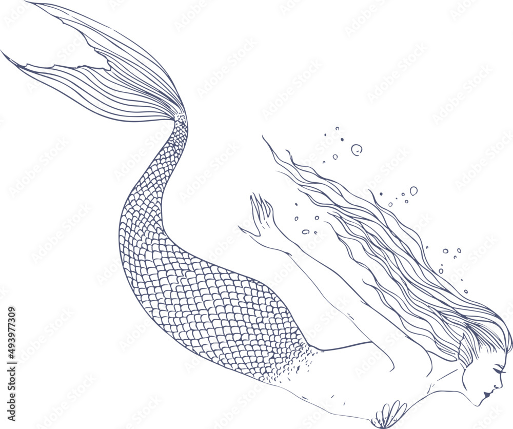 Mermaid Swimming Hand Drawn Contour Illustration Stock Vector | Adobe Stock