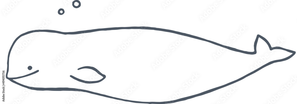 Beluga Whale Sketch Hand Drawn Illustration Stock Vector | Adobe Stock