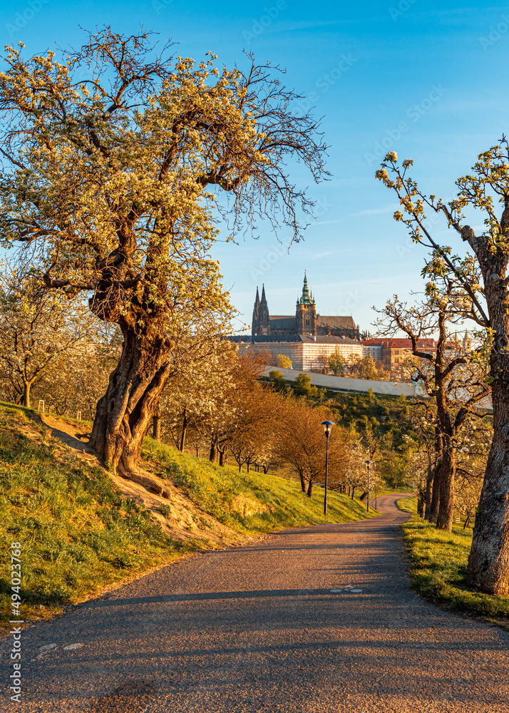 Prague, spring, architecture, castle, sky, city, tower, europe, old ...