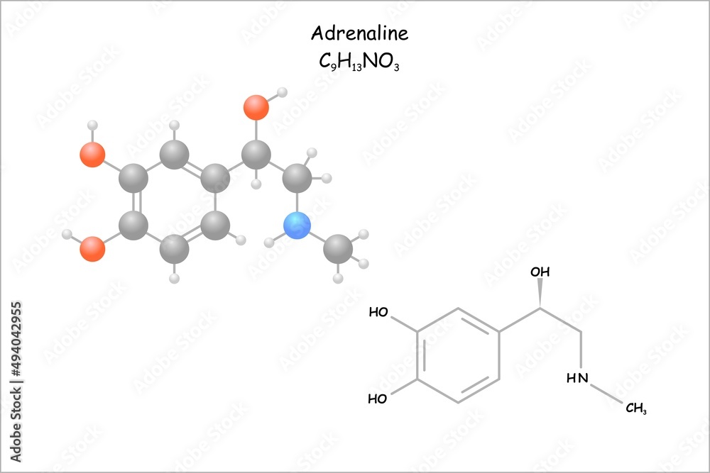 Stylized molecule model and skeletal formula of the hormone adrenaline ...