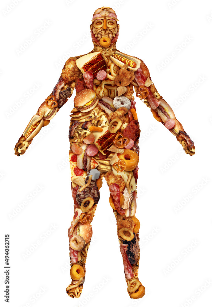 Human body made of junk food as a nutrition and dietary health problem ...