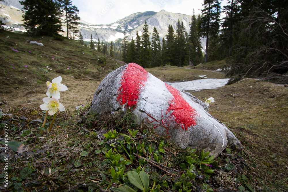 Hiking trail orientation marking on a stone Stock Photo | Adobe Stock