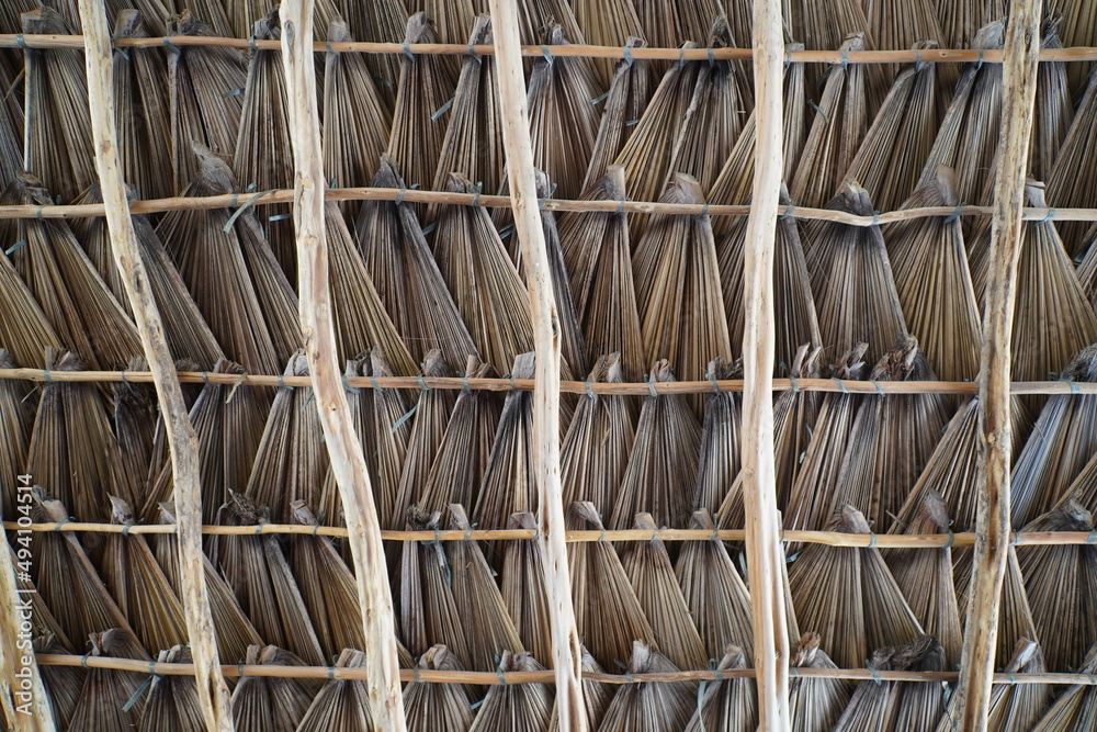 Poster Dried palm leaves palapa roof to a building, Cocos nucifera ...