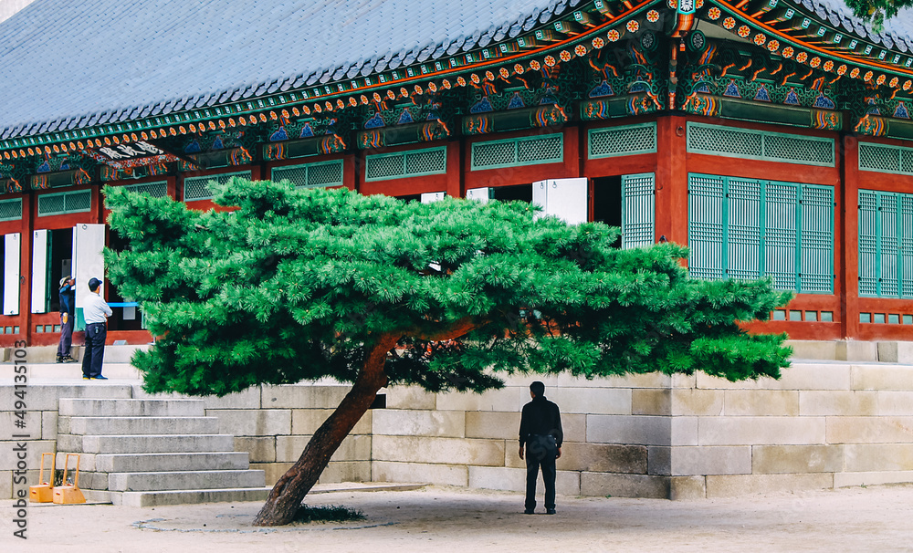 Nature, people and sights of Korea in Seoul. Tree on the background of ...