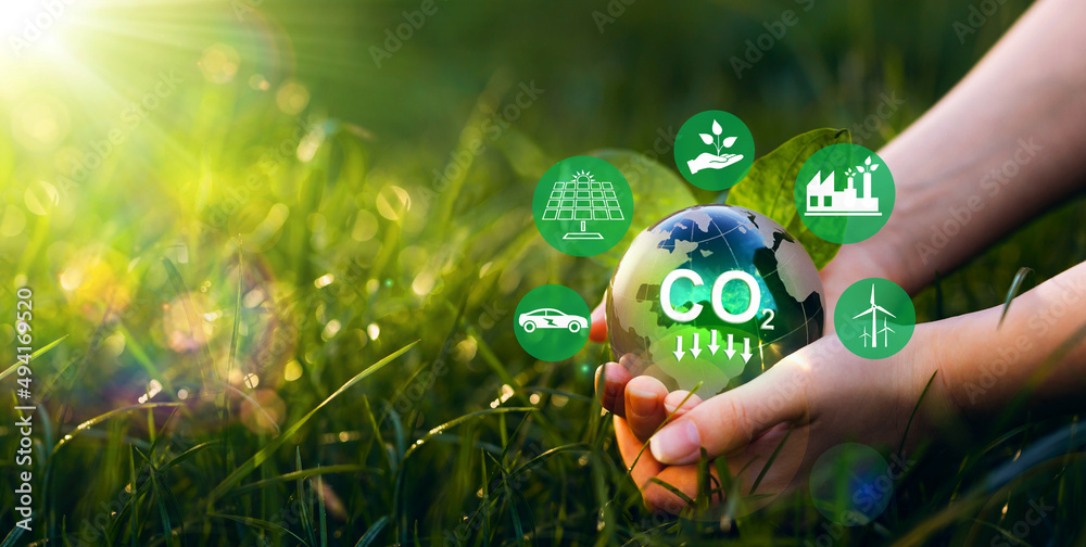 Reduce CO2 emission concept. Sustainable development and green business ...