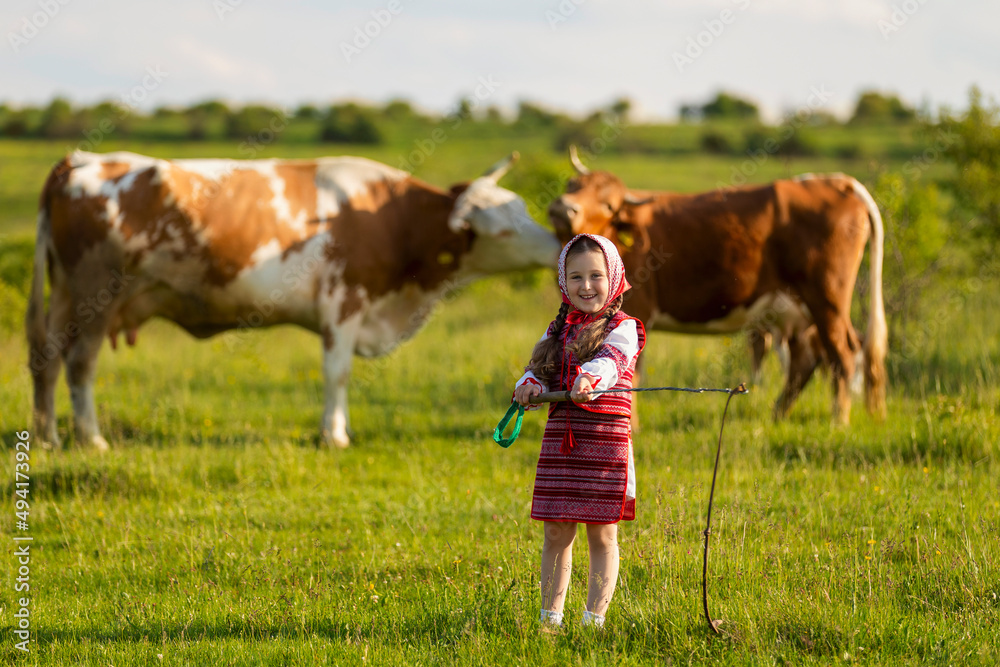 little girl grazing cows on the lawn Stock Photo | Adobe Stock
