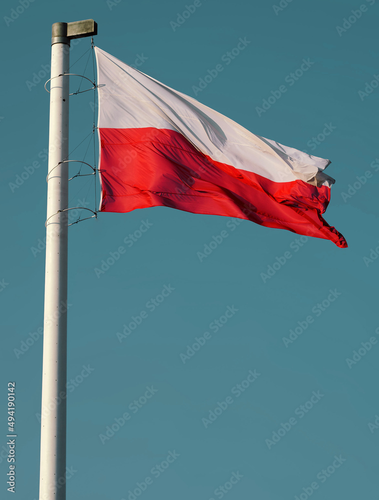 Polish flag waving in the sky. Waving national flag of Poland on a ...