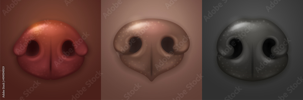 Cute dog noses, canine snout front. Vector realistic illustrations of ...